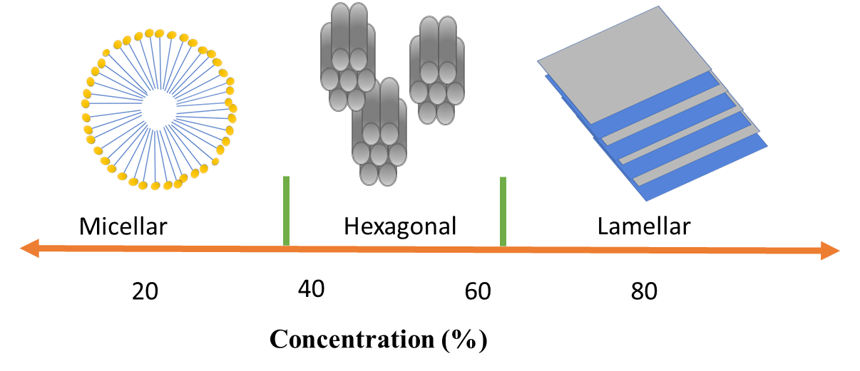 🔴SLES 70% 🔴 psgraw