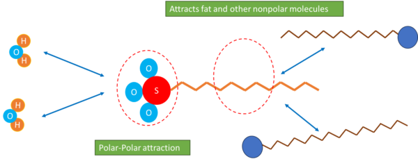 🔴SLES 70% 🔴 psgraw