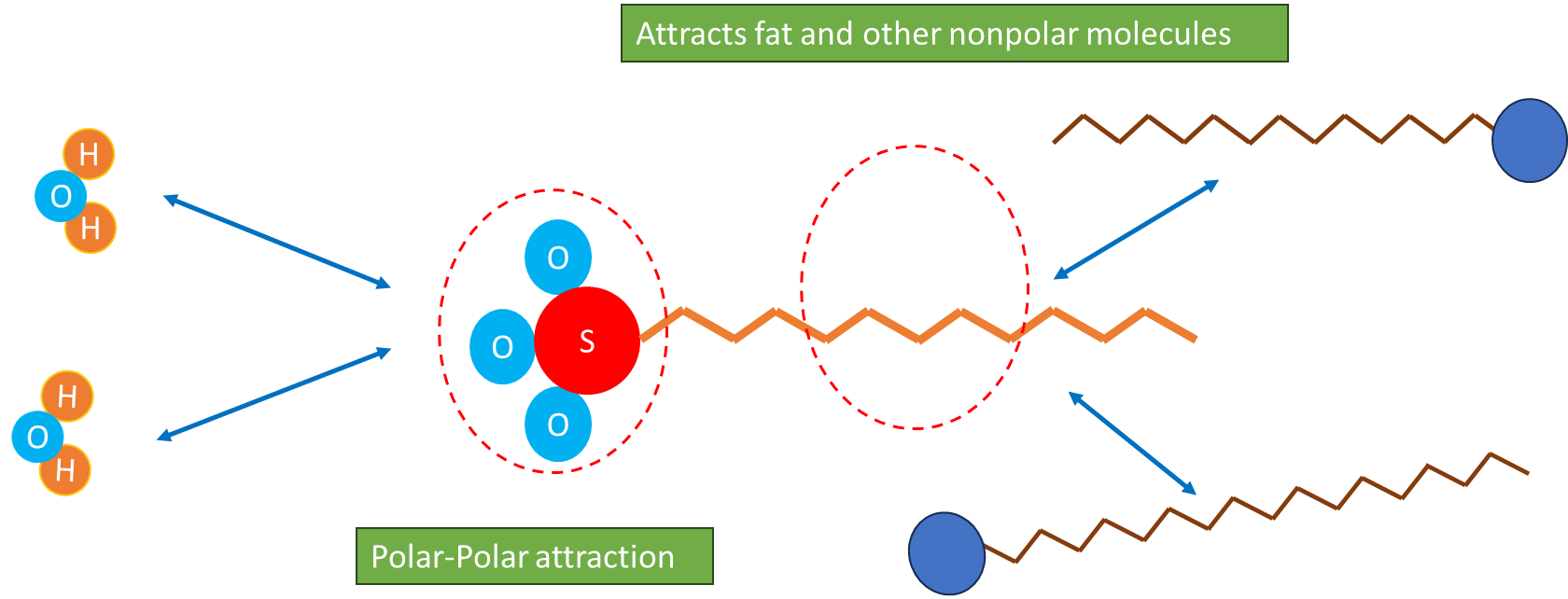 🔴SLES 70% 🔴 psgraw