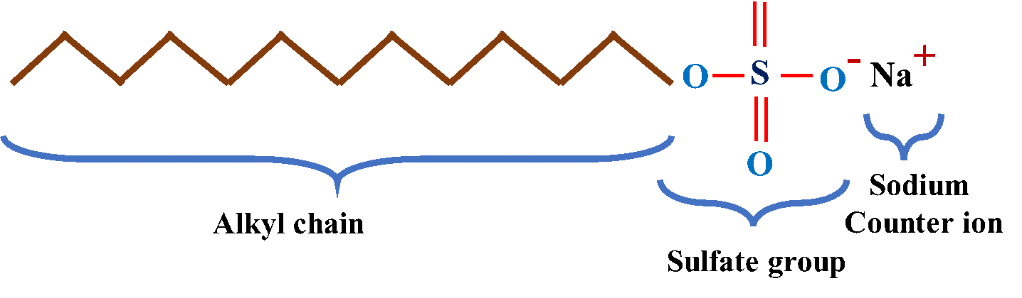 🔴sodium lauryl sulfate 🔴sls ---psgraw